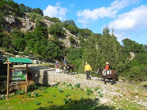 Drogarati Cave donkey trekking tour in Kefalonia - Ennea Muses Rooms ...
